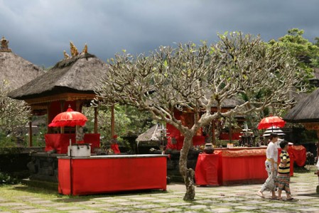 Bubuh Injin – Reispudding | Bali Reisen